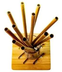 Sunbird Straw: Drinking Straws From Coconut Leaves - GIAN